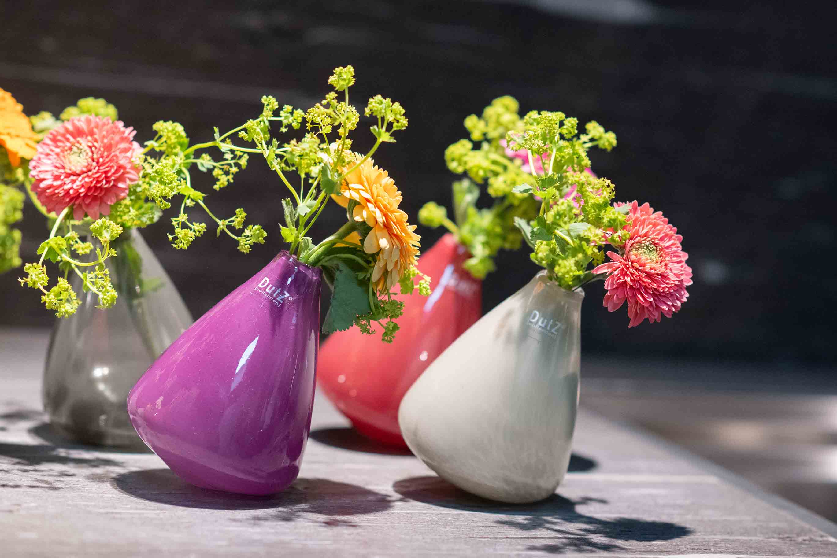 Offizieller Webshop | DutZ collection