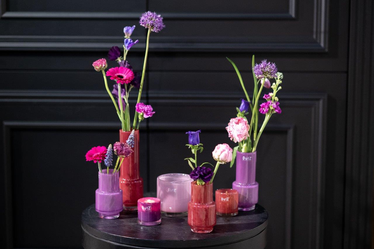 Offizieller Webshop | DutZ collection